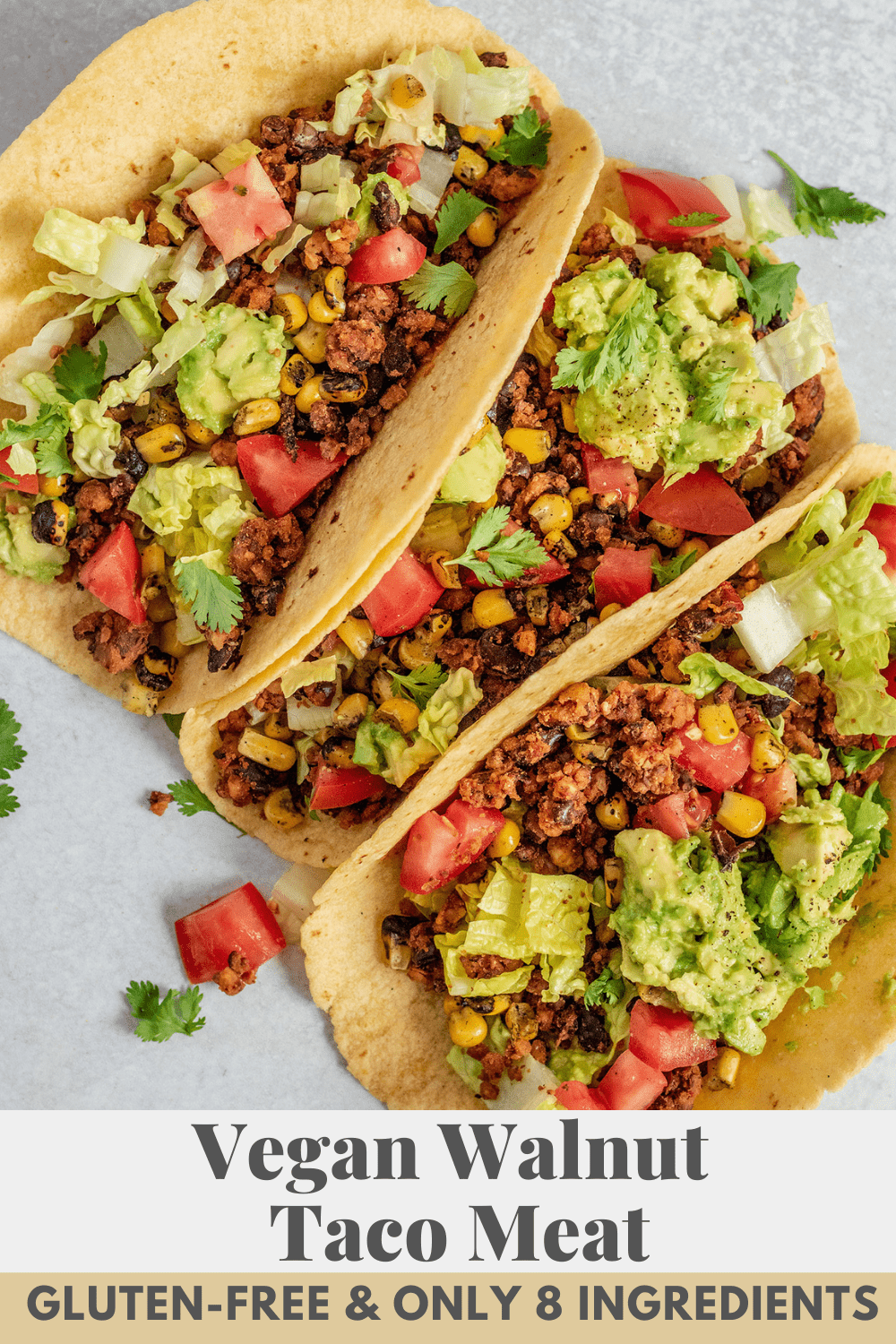 Vegan Walnut Taco Meat - Plant Based RD