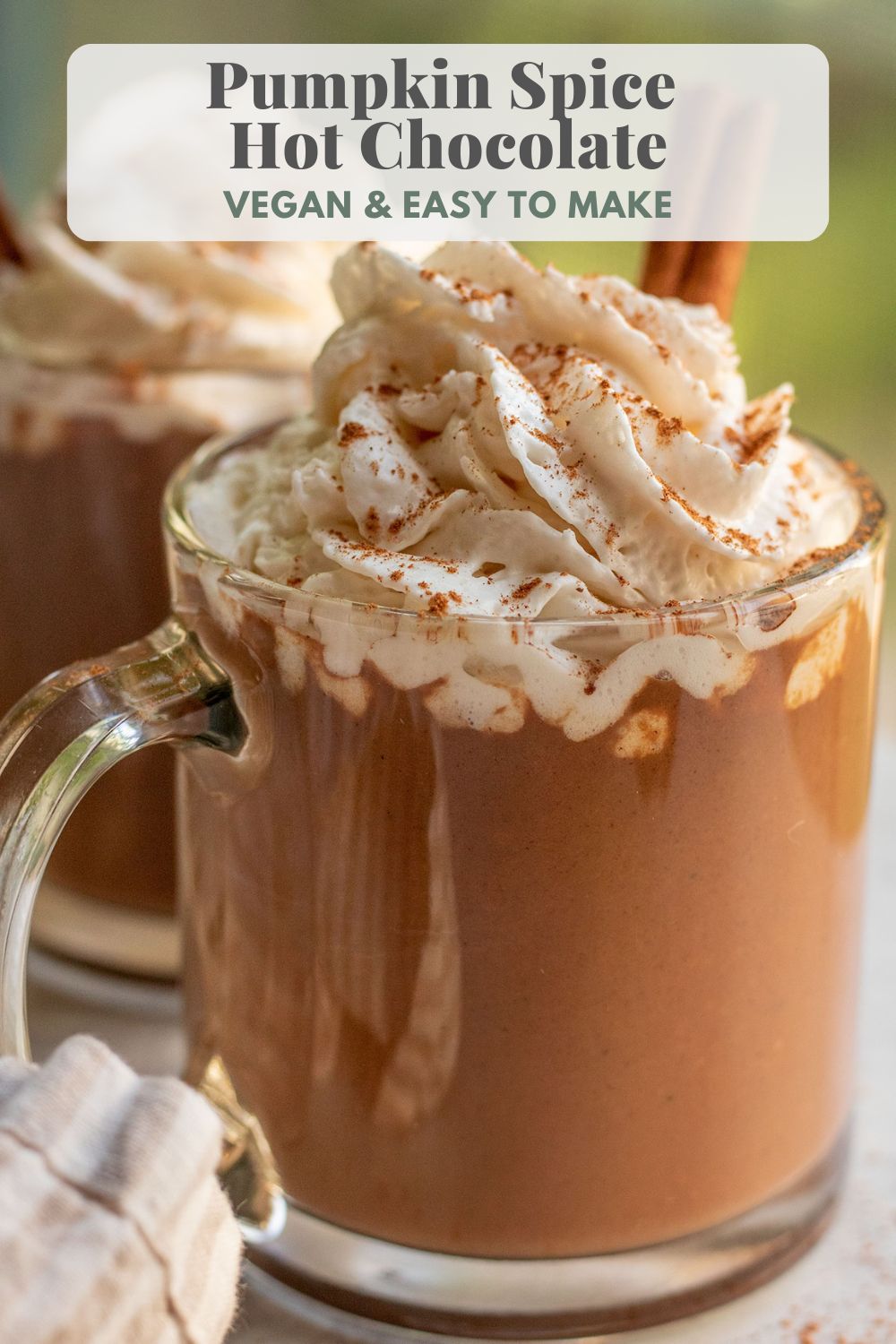 Pumpkin Spice Hot Chocolate - Plant Based RD