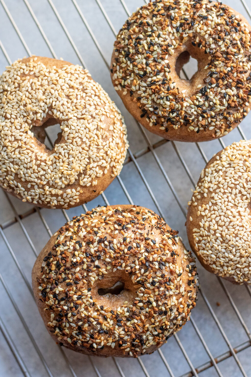 High Protein Bagels - Plant Based RD