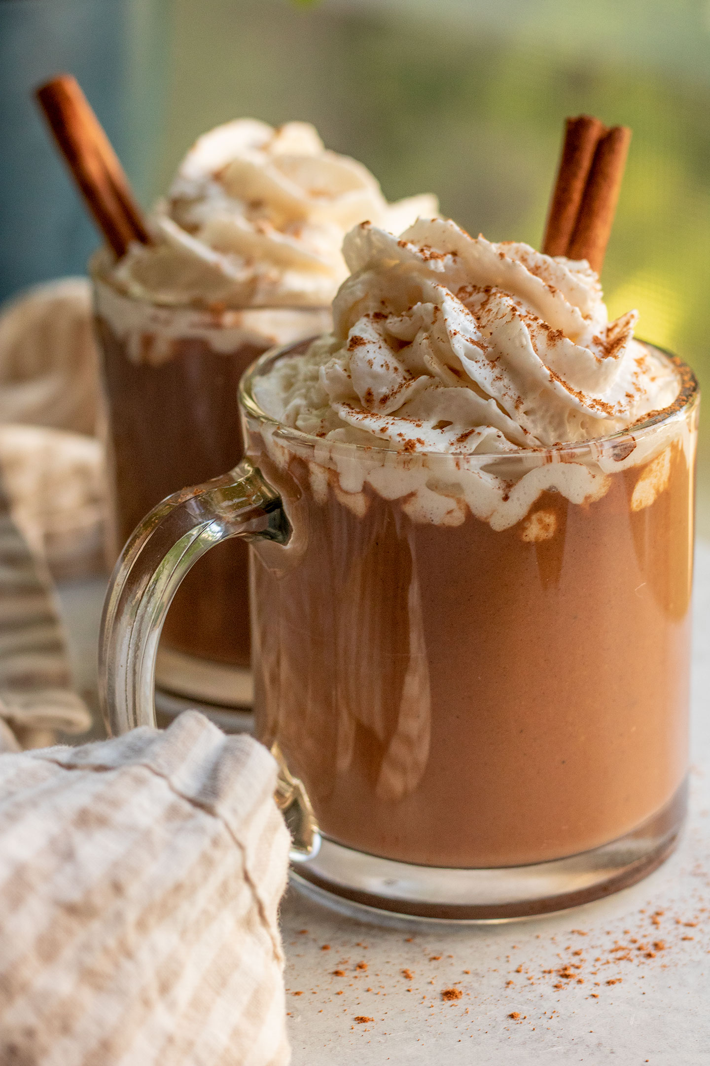 Pumpkin Spice Hot Chocolate - Plant Based RD