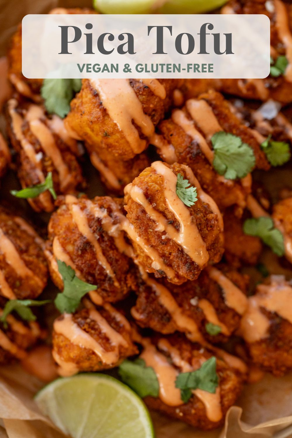 Pica Tofu – Plant Based RD