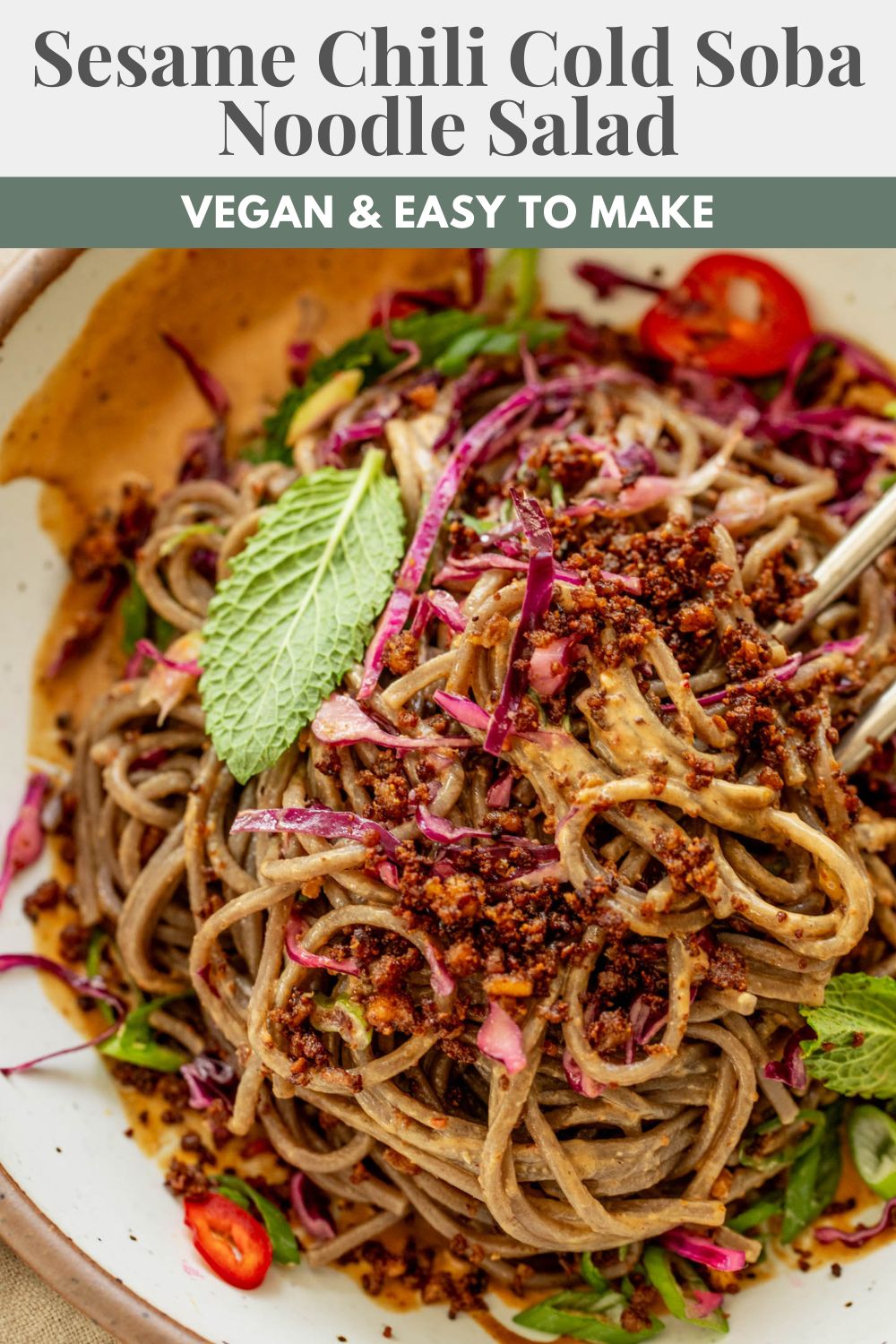 Sesame Chili Cold Soba Noodle Salad – Plant Based RD