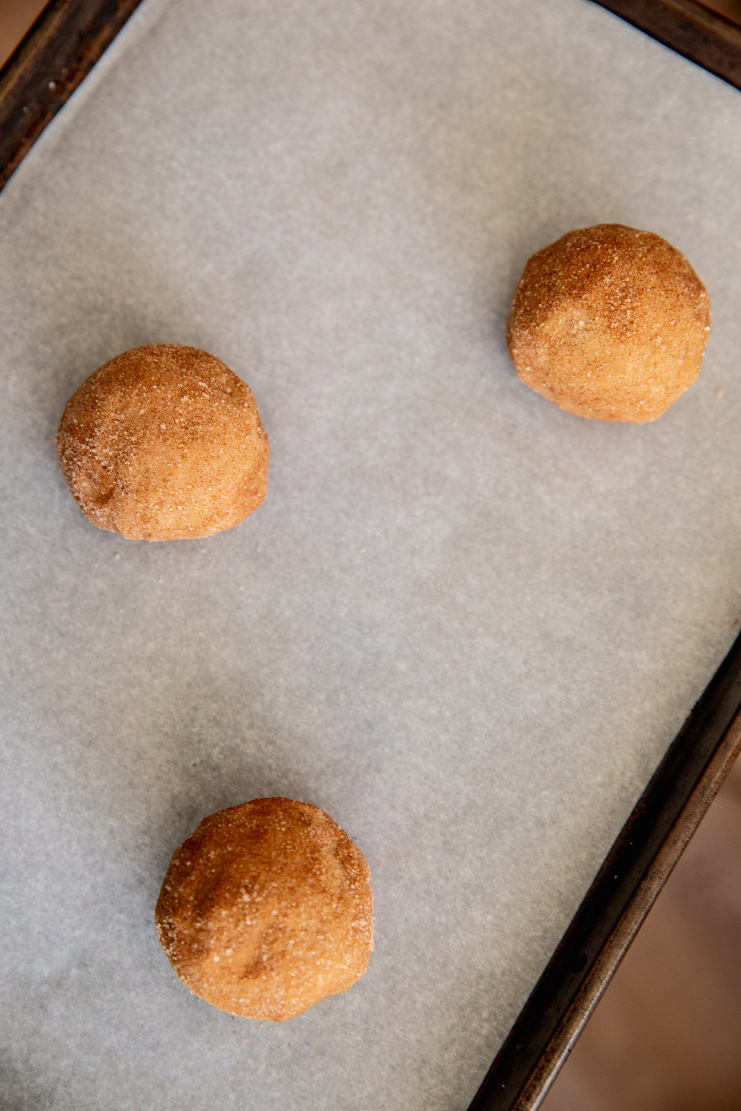 Churro Cookies – Plant Based RD